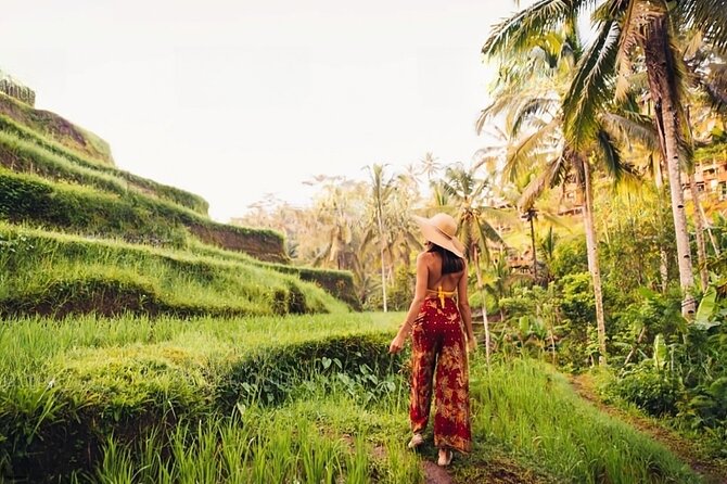 Private Tour Ubud: Swing at Rice Field with Temple and Waterfall - FAQ