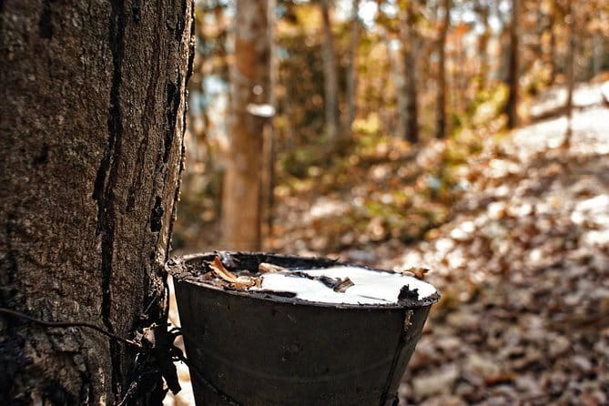 Private Tour: UNESCO Archaeological Heritage Of The Lenggong Valley from Ipoh - Authenticity and Reviews: What Past Travelers Say