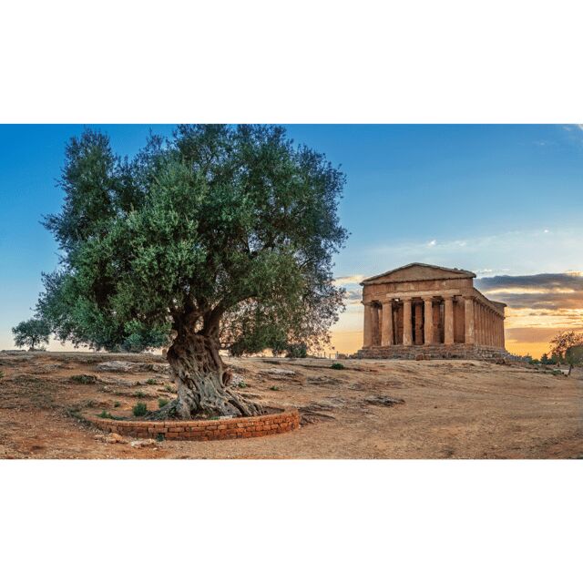 Private Tour Valley of the Temples and Scala dei Turchi - The Practicalities and Value