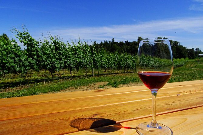 Private Tour: Vancouver Half Day Wine Tasting Tour - Practical Details