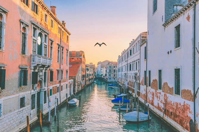 Private Tour: Venice Art and Architecture Walking Tour - Tour Experience