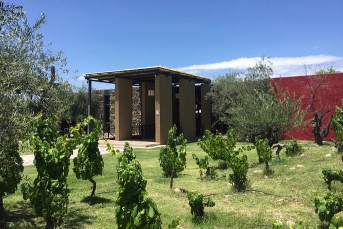 Private Tour: Visit Trapiche and Lunch The Enemy (Michelin) - Accessibility and Participation