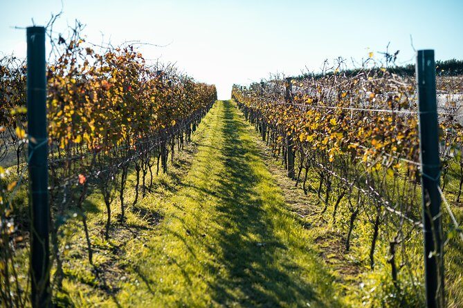 Private Tour - Waiheke Island Luxury Experience - An In-Depth Look at the Waiheke Island Luxury Experience