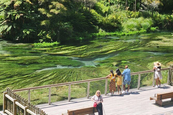 Private Tour WaiOtapu & Huka Falls & Blue springs from Auckland - An In-Depth Look at the Itinerary