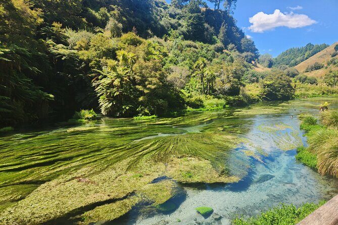 Private Tour WaiOtapu & Huka Falls & Blue springs from Auckland - What’s Included and What’s Not