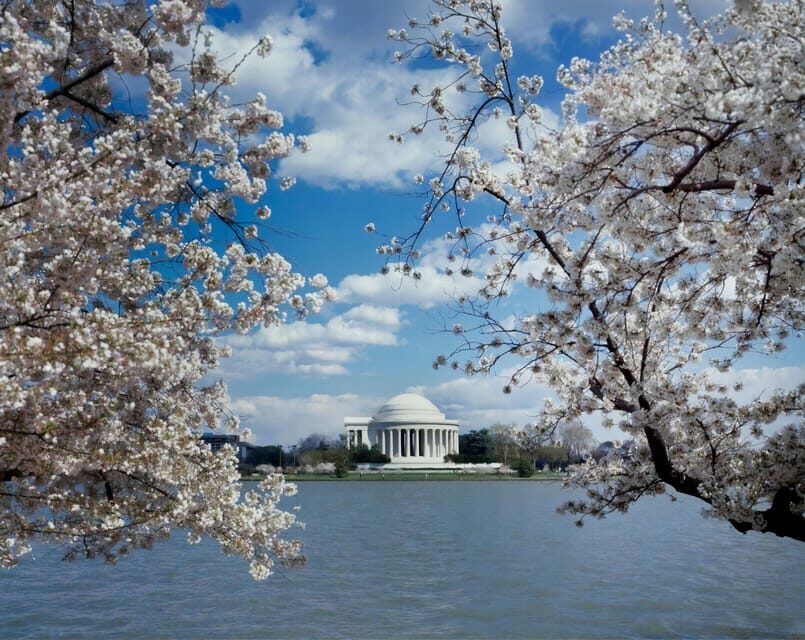 PRIVATE TOUR Washington DC: Private Tour with Luxury SUV 6h - FAQs