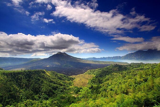 Private Tour: Waterfall, Kintamani Volcano, Ubud Tour with Lunch - The Experience of a Private, Guided Day