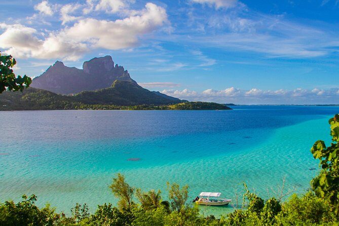 Private Tour Whale Watching BORA-BORA - The Sum Up