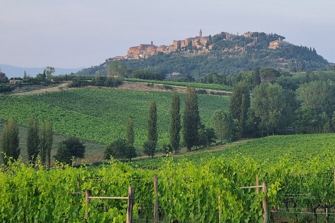 Private tour Wine and cheese a perfect combinations val 'Orcia - FAQ