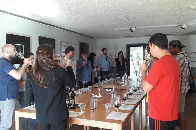 Private Tour Wine (region Évora) Wine Tasting - FAQ