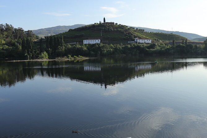 Private Tour With 3 Wineries and Viewpoint - Pickup and Meeting Points