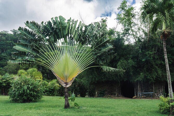 Private Tour with Botanical Gardens, Trafalgar Falls&Morne Bruce - FAQ