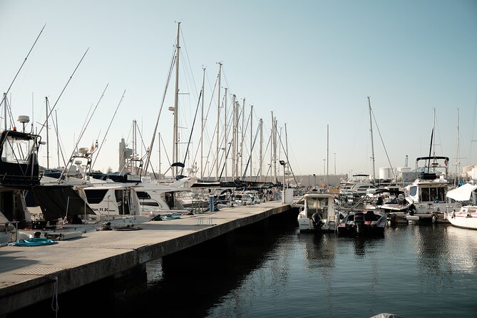 Private Tour with Dolphin Watching in Algeciras Bay - Practical Tips for Your Dolphin Watching Tour