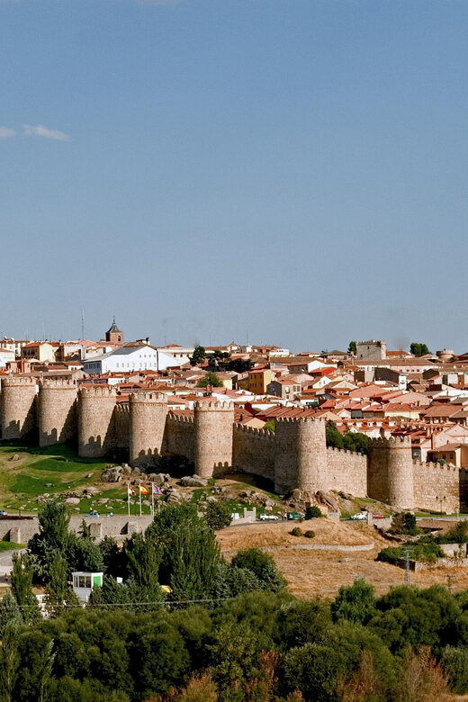 Private tour with driver from Madrid through Avila and Segovia with entrance tickets - Final Thoughts