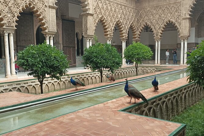 Private Tour with Local Guide to know the Seville Essential - What Makes This Tour Stand Out?