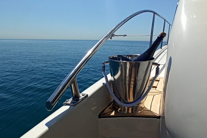 Private Tour with Navigation and Visit to Alella Vineyards - Logistics, Comfort, and Practicality