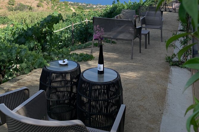 Private Tour with Navigation and Visit to Alella Vineyards - Value and Overall Impression