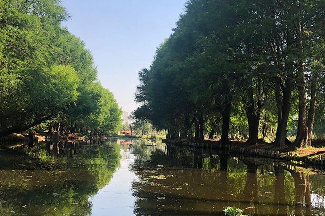 Private Tour: Xochimilco, Coyoacan and Frida Kahlo Museum. - FAQ