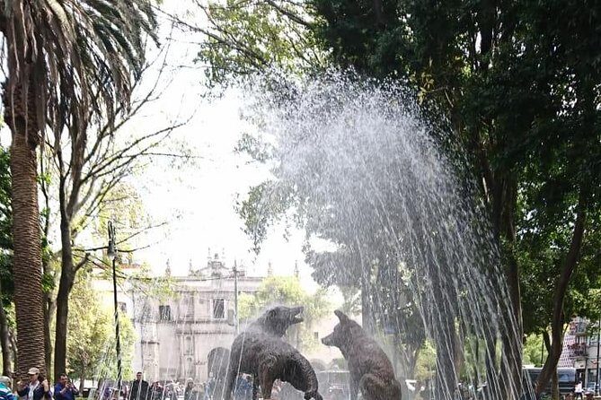 Private Tour: Xochimilco, Coyoacan and Frida Kahlo Museum - Who Should Consider This Tour?