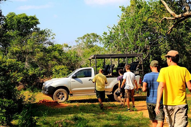 Private Tour: Yala National Park Safari - Walking Through the Itinerary