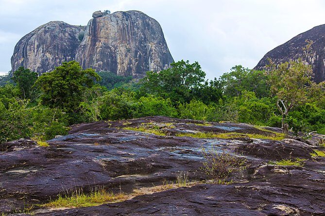Private Tour : YALA National Park with Experienced Driver/Guide - FAQ