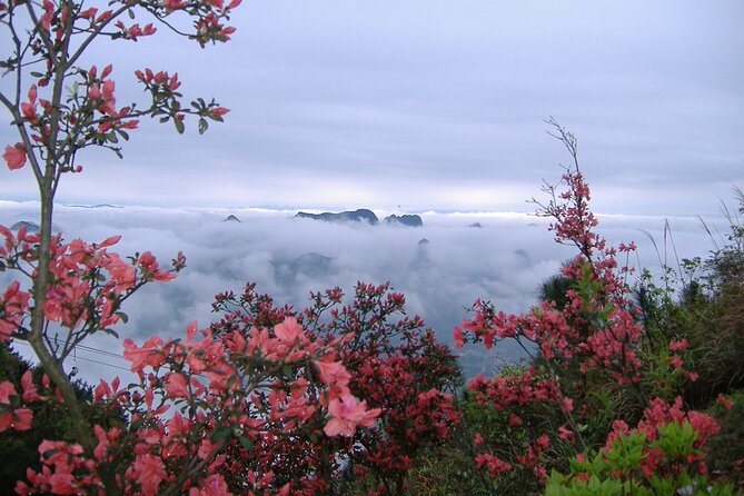 Private Tour: Yao Mountain and Tea Plantation from Guilin - Honest Considerations