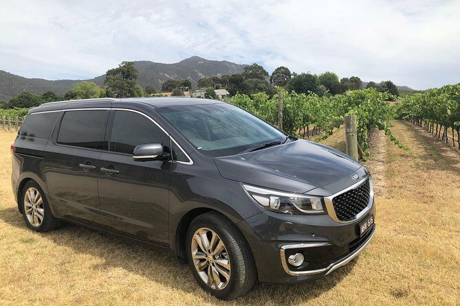 Private Tour: Yarra Valley Wineries with Wine Tastings - Final Thoughts: Who Should Consider This Tour?