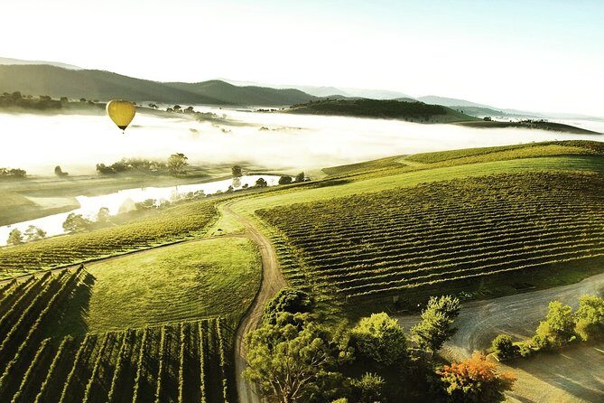 [PRIVATE TOUR] Yarra Valley Winery | Day Tour - Value and Practical Considerations