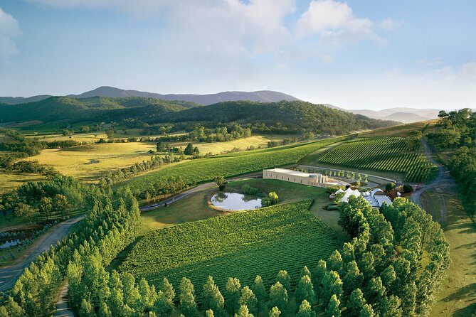 [PRIVATE TOUR] Yarra Valley Winery | Day Tour - Who Should Consider This Tour?