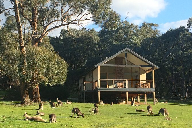 [PRIVATE TOUR] Yarra Valley Winery | Day Tour - The Sum Up