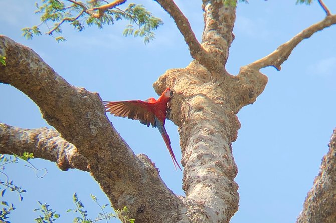 Private Tours and Transfer Costa Rica - Reviews and Customer Experience