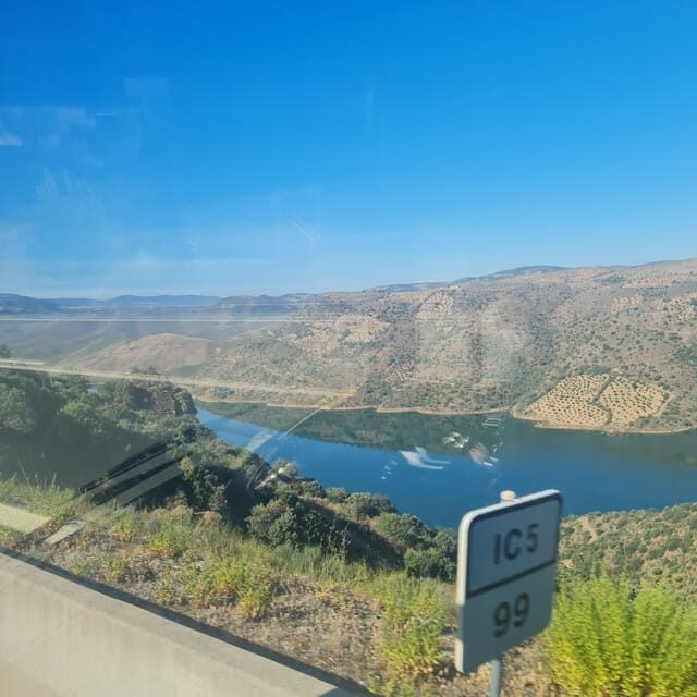 Private tours and transport amazing for you at DOURO Valley - Discover the Douro Valley with a Private Wine Tour and River Cruise