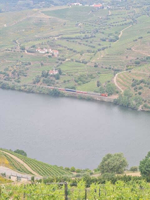 Private tours and transport amazing for you at DOURO Valley - The Value of This Tour