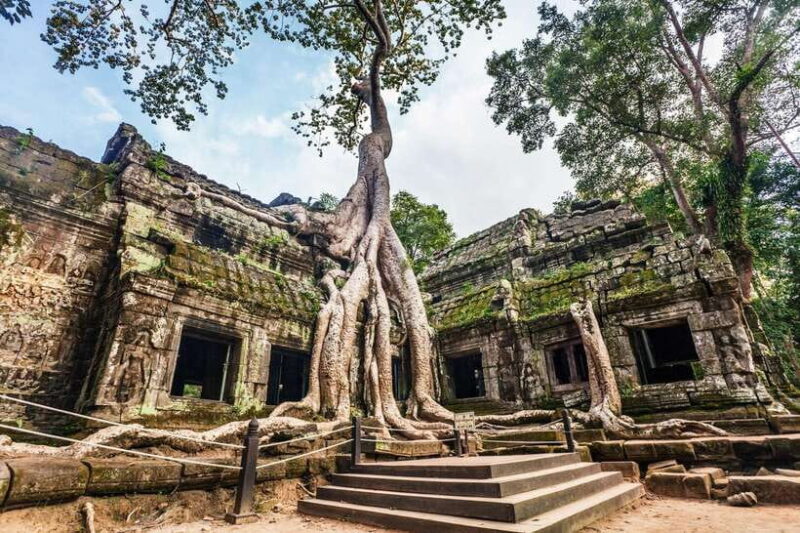 Private Tours Angkor wat, Thom and Small group temple - What Makes This Tour Stand Out?