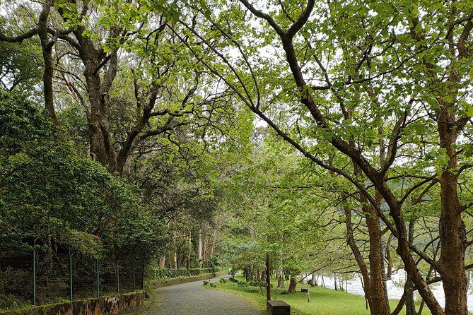 Private Tours Best Spots (Views) in SāO Miguel Island - Customizable Itinerary