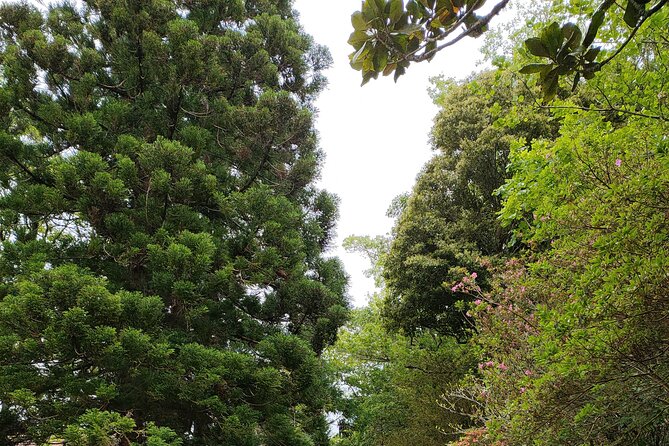 Private Tours Best Spots (Views) in SāO Miguel Island - Convenient Pickup Locations