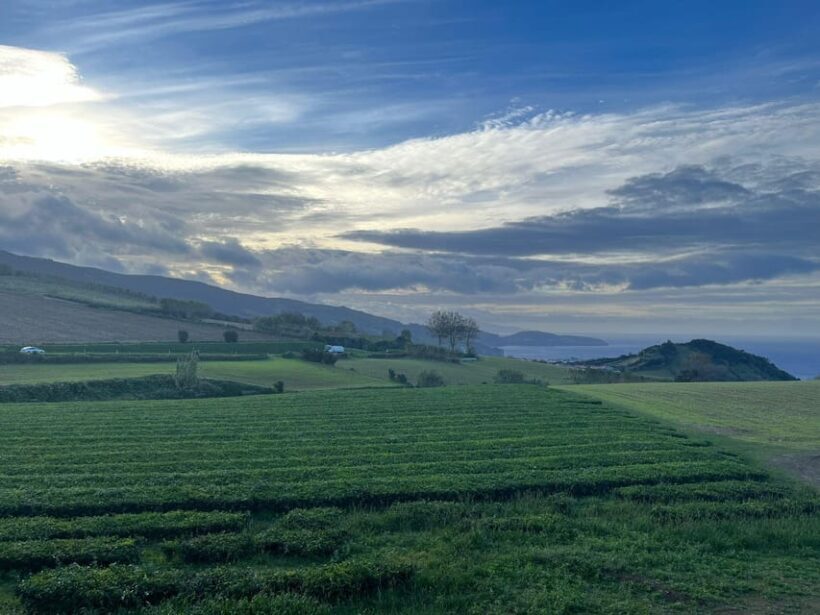 Private Tours Best spots (views) in So Miguel Island - An In-Depth Look at the Private Sao Miguel Tour