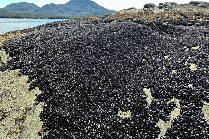 Private Tours for Ease, Comfort, Flexibility, and Relaxed Pace! - Highlights of the Tour