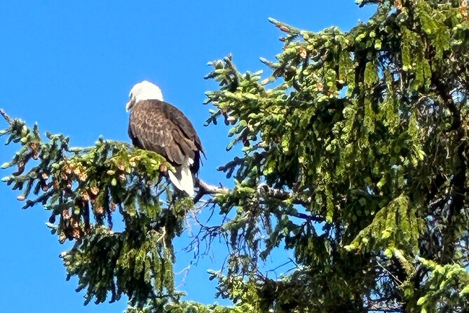 Private Tours for Ease, Comfort, Flexibility, and Relaxed Pace! - Customer Experiences and Testimonials