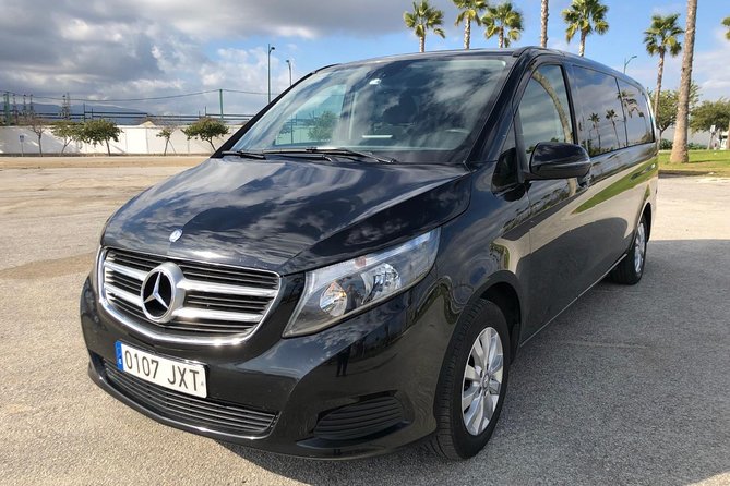 Private tours from Malaga to the Rock of Gibraltar up to 8 people - An In-Depth Look at the Gibraltar Day Trip