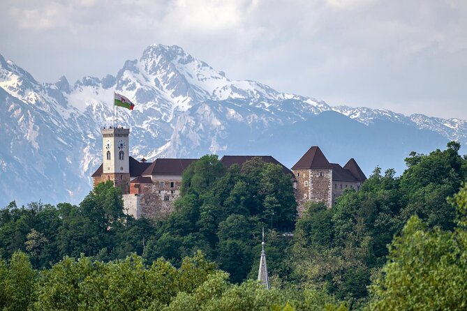 Private Tours in Slovenia from Koper - Who Is This Tour Best For?