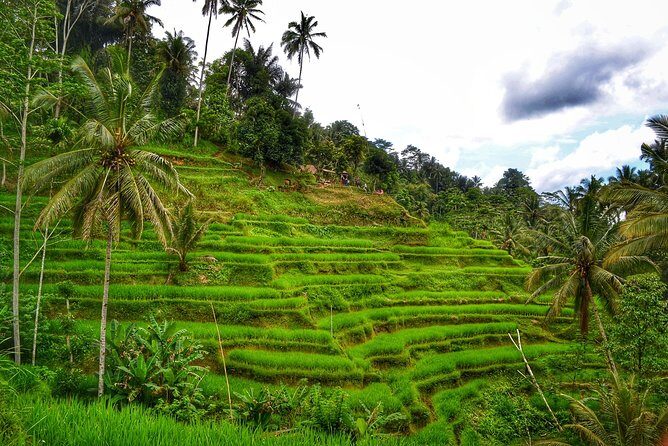 Private Tours : Natural Hot Spring, Batur Volcano and Waterfall - FAQ