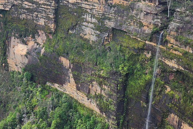 Private tours: Sydney, surrounds, and Blue Mountains. - Who Will Love This Tour?