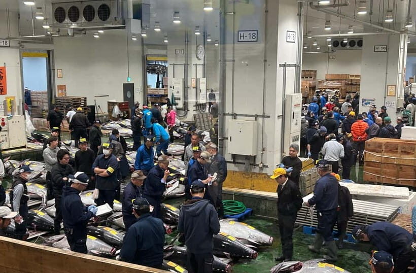 Private Toyosu & Tsukiji Market Adventure with Tuna Auction - Key Points