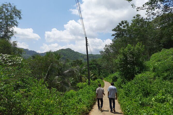 Private Traditional Sri Lankan Village Food Trail - What to Expect on the Food Trail