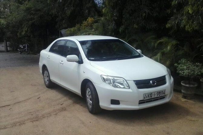 Private transfer between Arugambay - Colombo, Negombo, Airport - Introduction