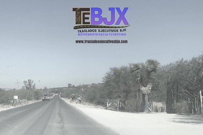 Private transfer between Guanajuato and San Miguel de Allende - Why Choose a Private Transfer?