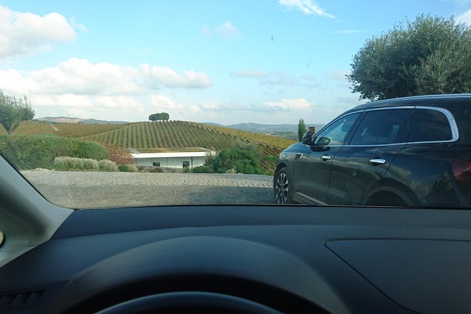 Private Transfer Between Lisbon, Porto, or Algarve - What the Reviews Say