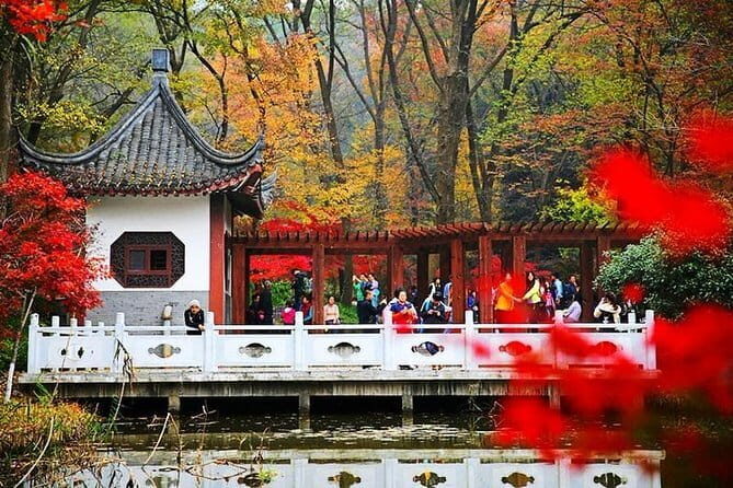 Private Transfer between Nanjing Jinniuhu Wild Animal Park and City Hotels - The Sum Up
