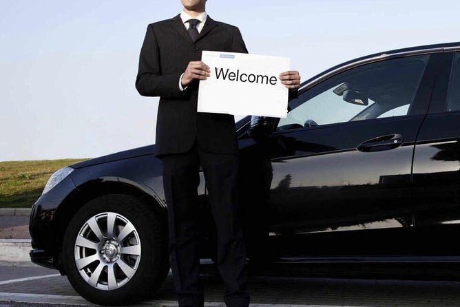 Private Transfer between Shanghai Haichang Ocean Park and City Center - An Introduction to the Private Transfer Experience